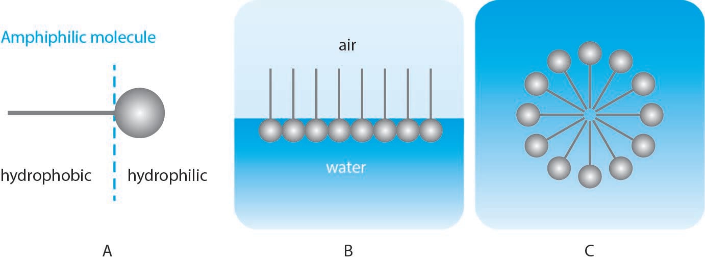 What are surfactants and how do they work?