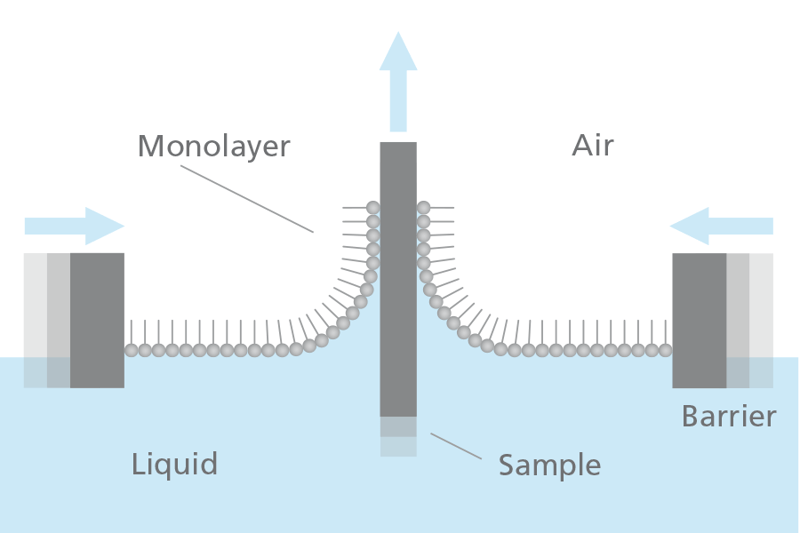 What is a Langmuir-Blodgett film?