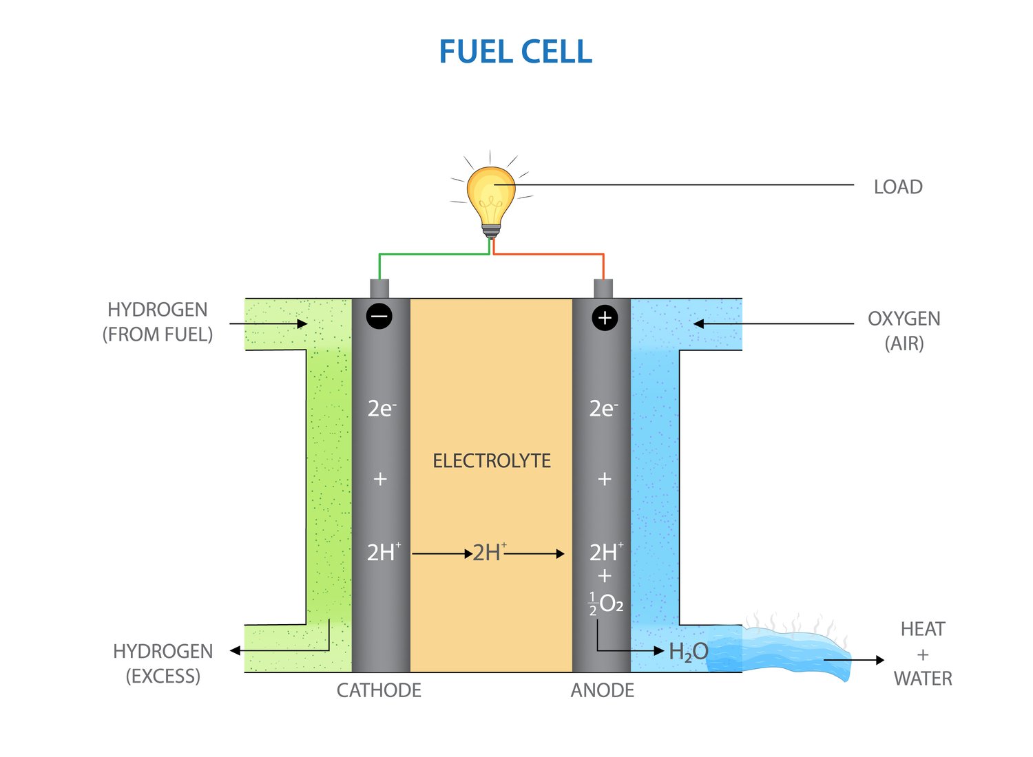 What are proton exchange membrane fuel cells and how do they work?