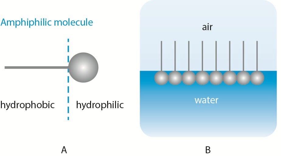 What is a wetting agent and where are they used?