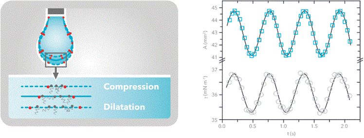 Interfacial Rheology | Measurements