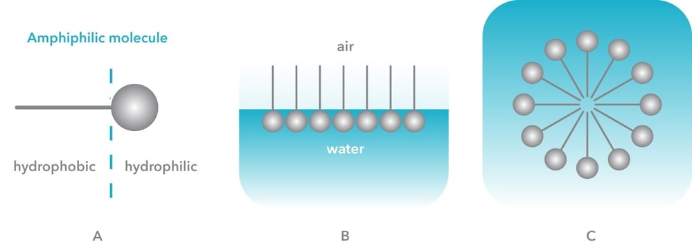 What is critical micelle concentration?
