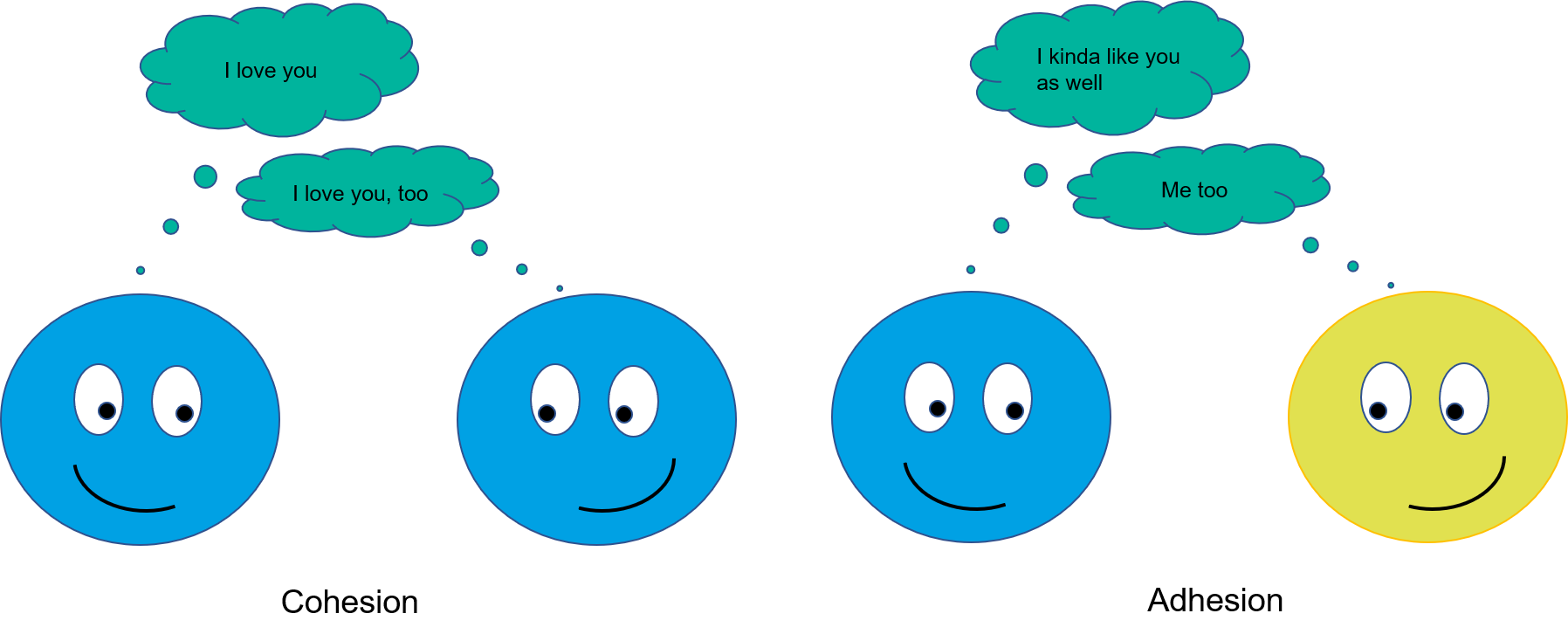 What is wettability?