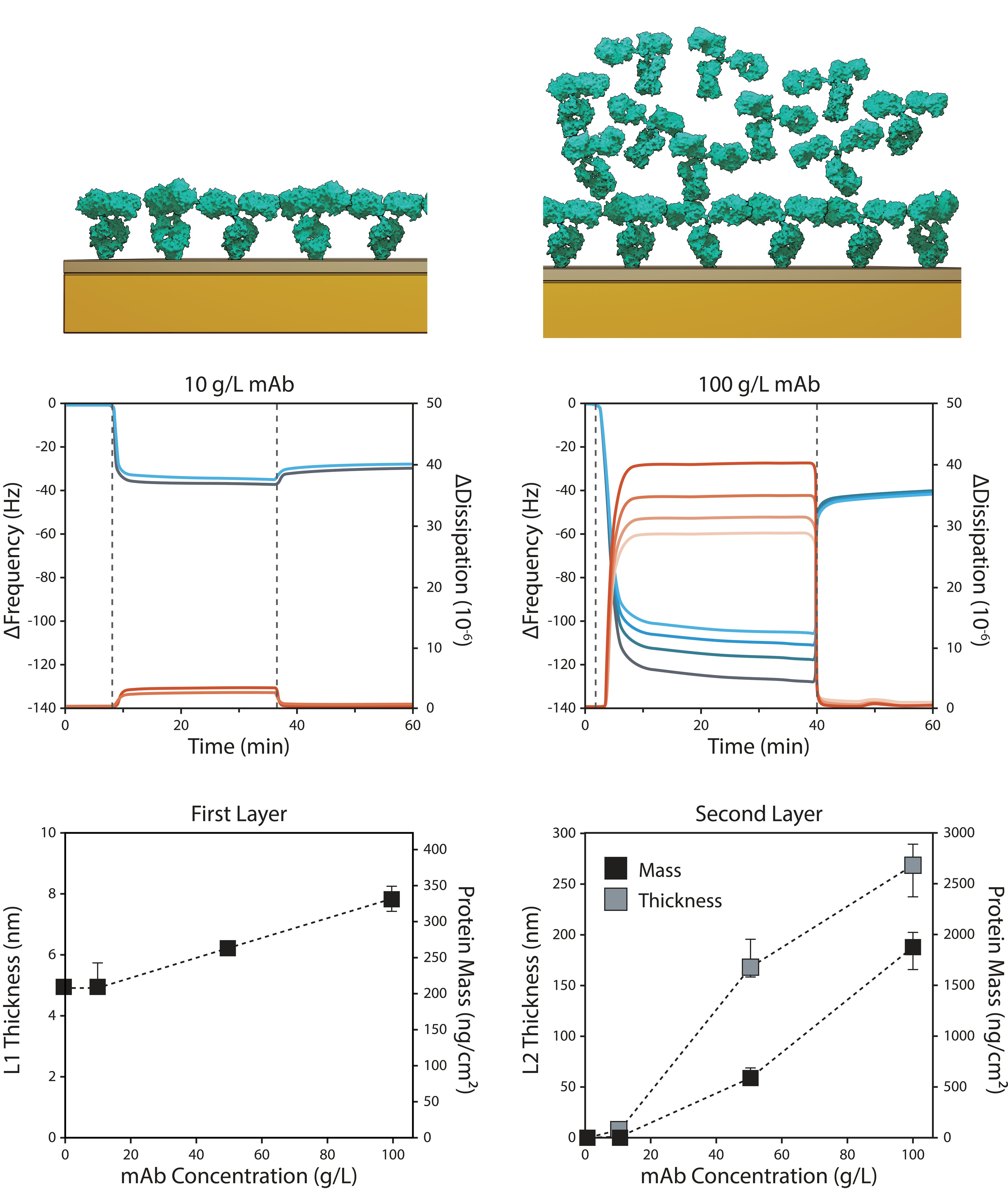 Using QCM-D to study antibody fouling and material surface characterization