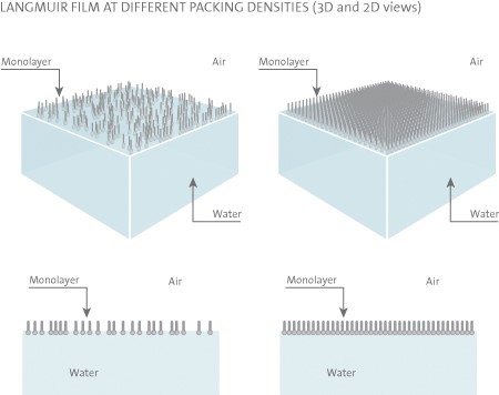 What is a Langmuir film?
