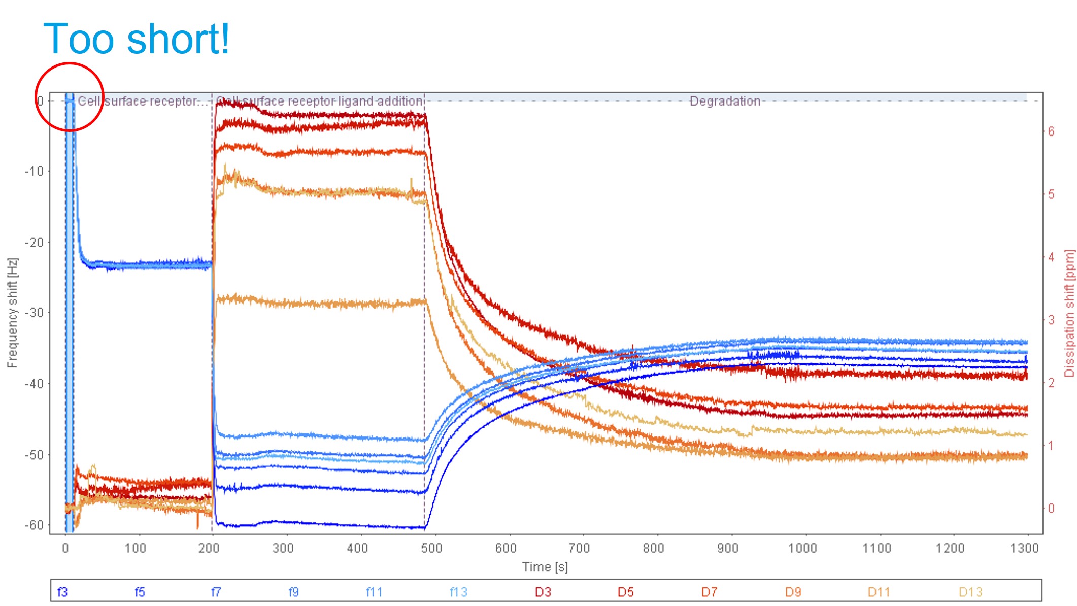 Collecting quality data - QCM-D baseline basics