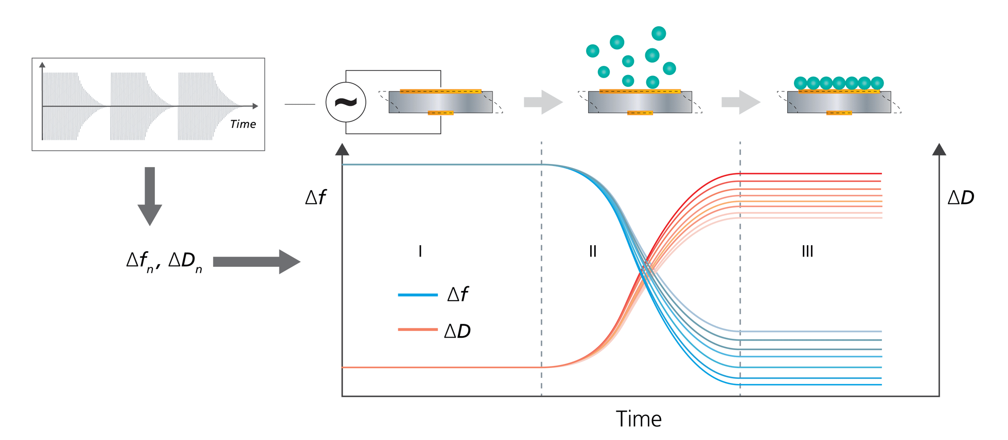 QCM-D - how does it work?