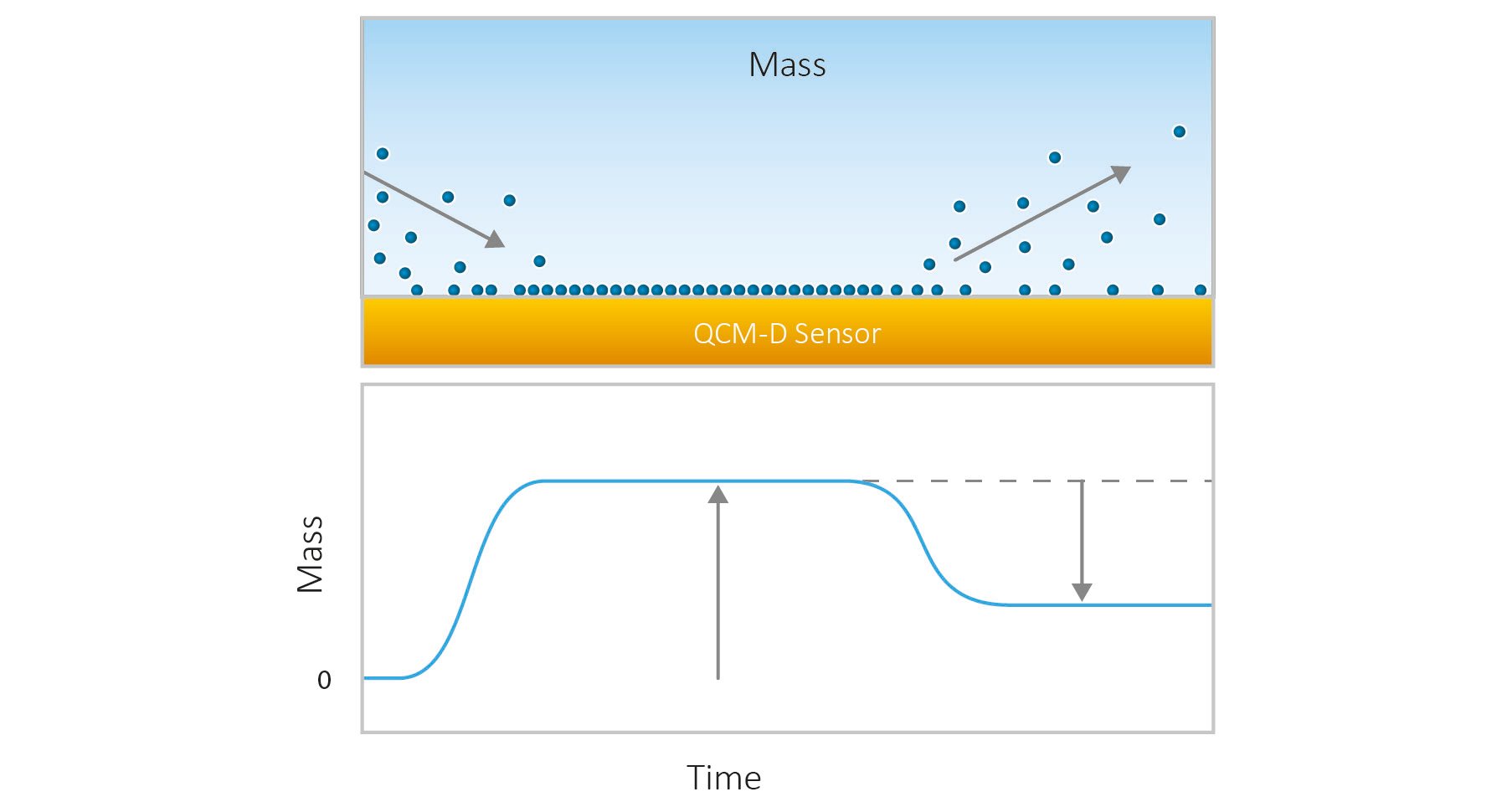 What is QCM-D?