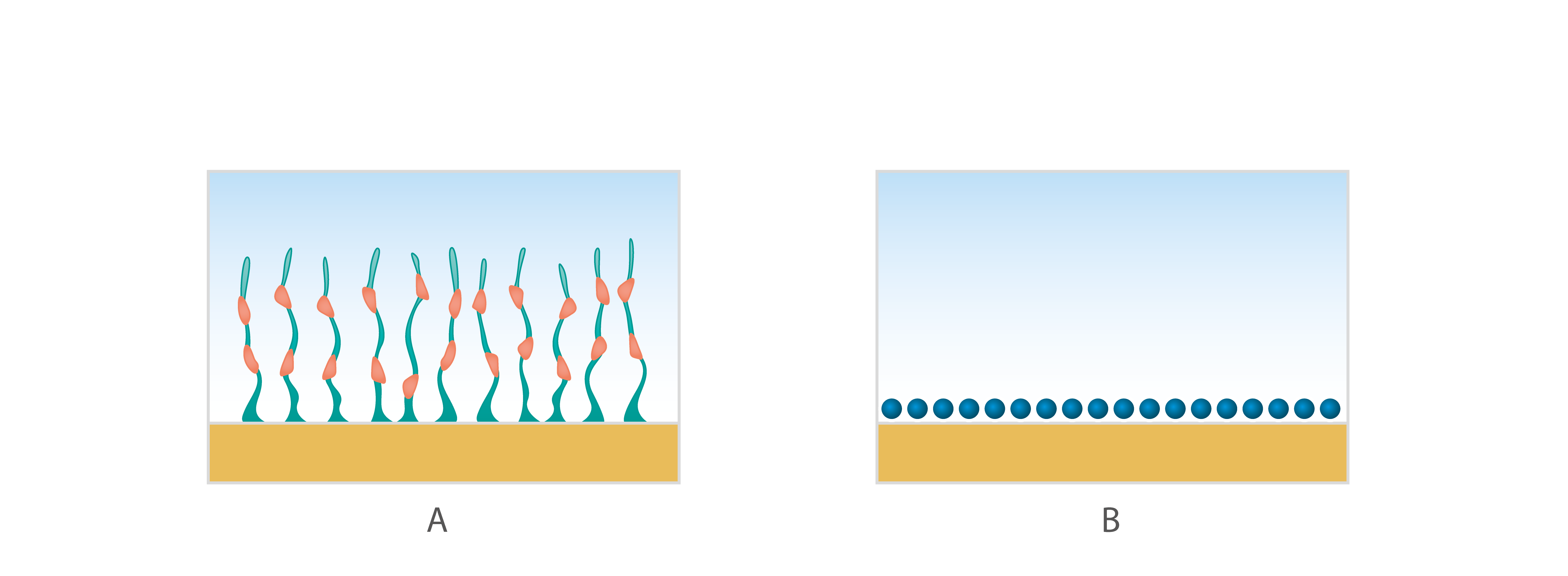 What is Dissipation?