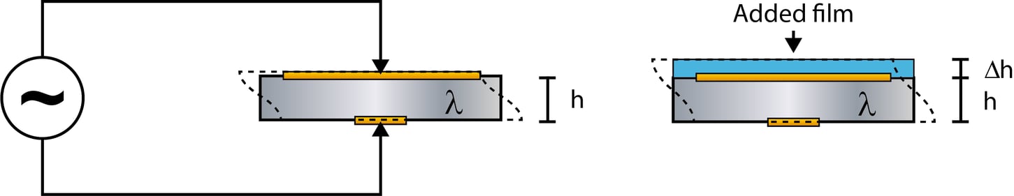 What is the Sauerbrey equation?