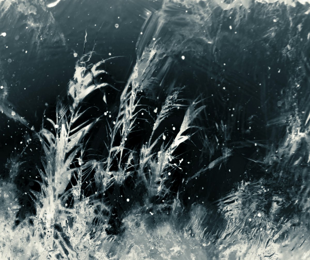 What is Dissipation?