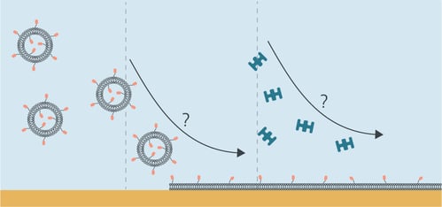 QCM-D | Measurements | Biolin Scientific