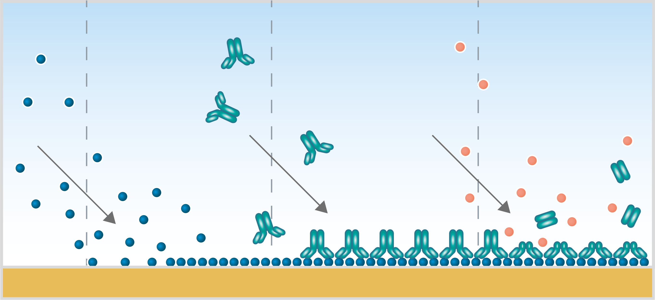 QCM-D | Measurements | Biolin Scientific
