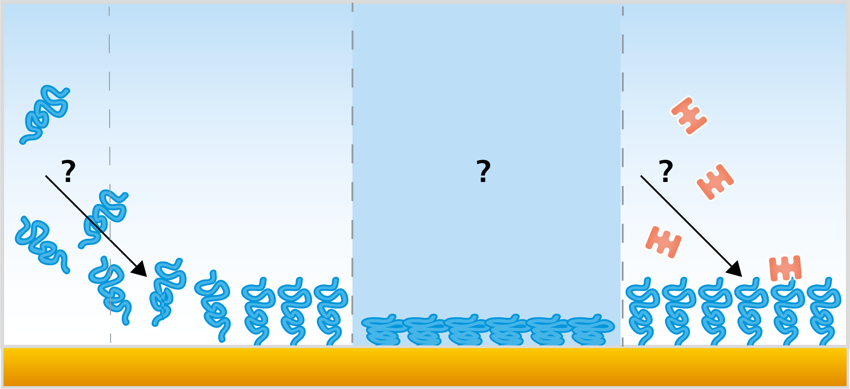 QCM-D | Measurements | Biolin Scientific