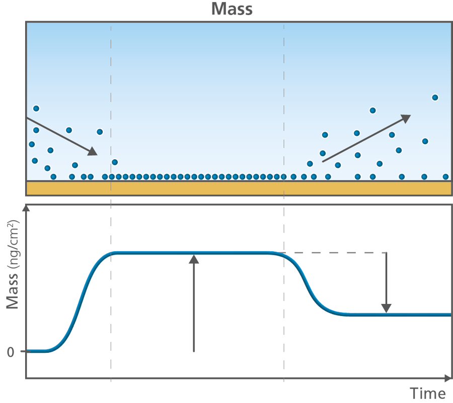 QCM-D | Measurements | Biolin Scientific