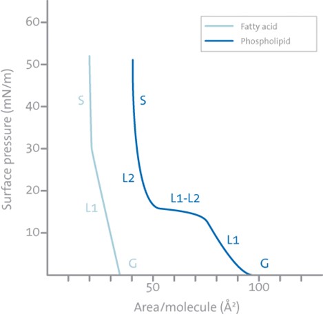 What is surface pressure - area isotherm?