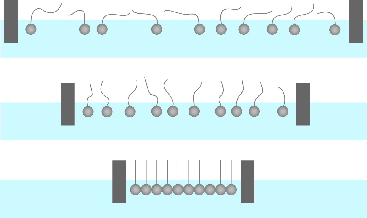 What is a Langmuir film?